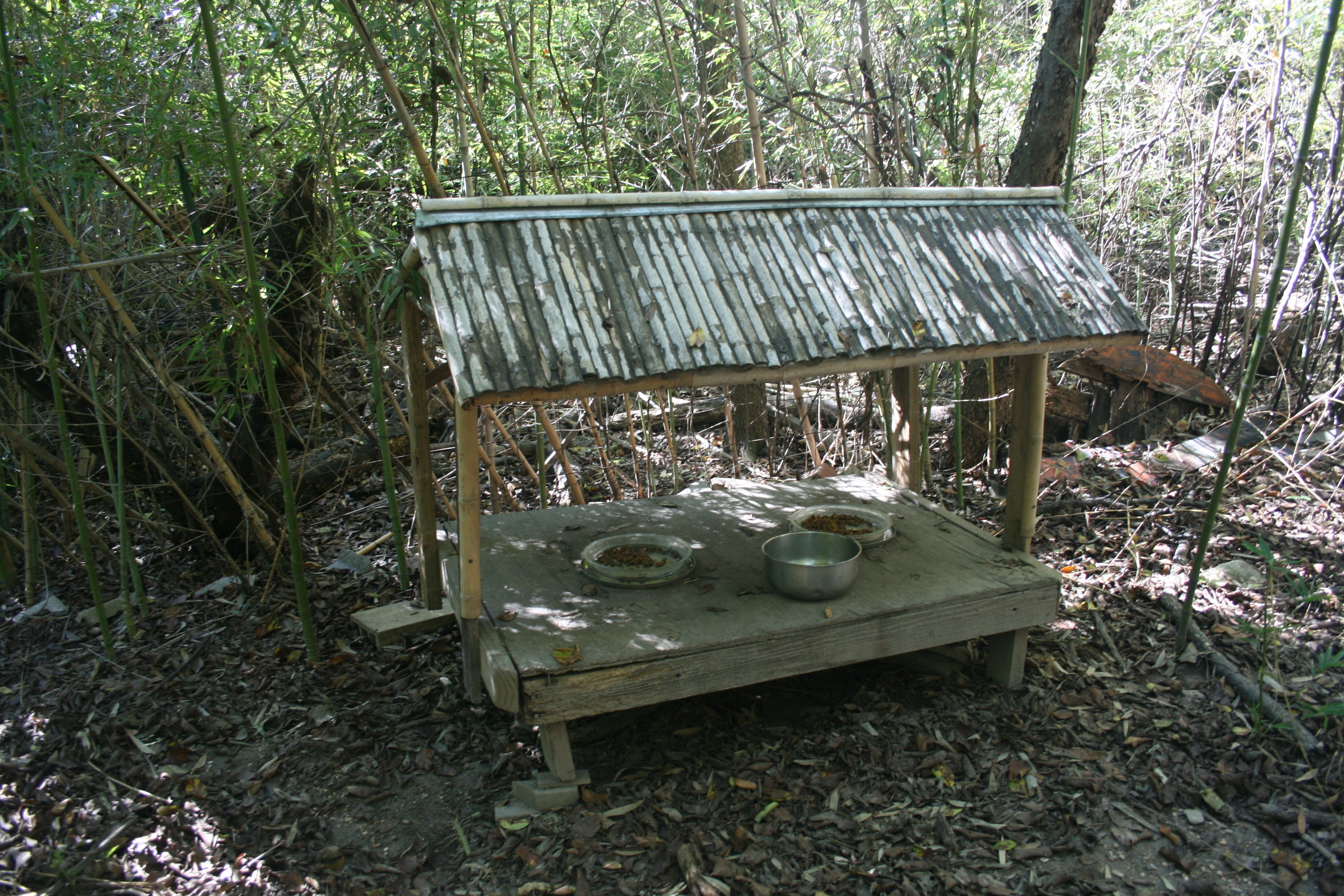 Slackerville is Dead, Long Live Slackerville – TOWERS