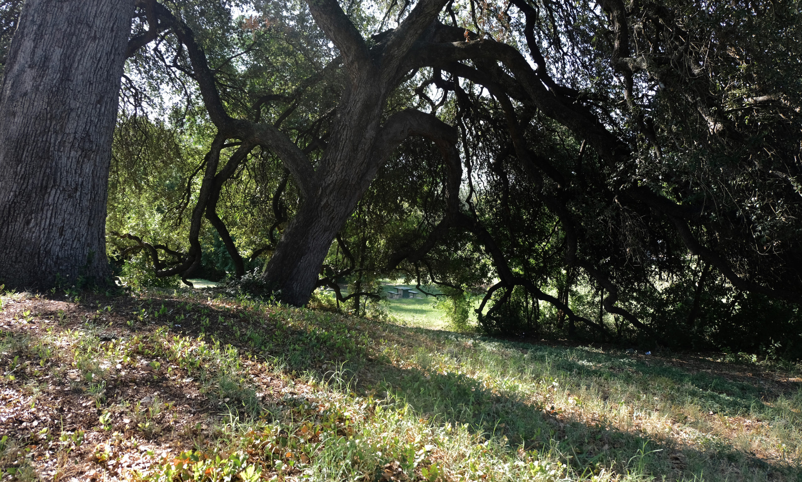 The View From Duncan Park Gets Better Every Year – TOWERS