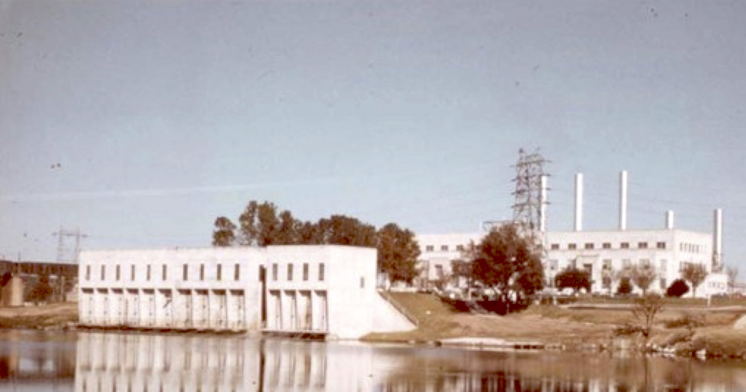 Remember When Austin’s Hike-and-Bike Trail Didn’t Have Enough Trees ...