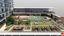 Take a Closer Look at the Travis, the Rainey District’s New Tallest ...