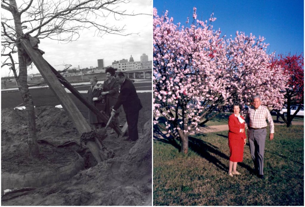 A History of Austin’s Famous Hike and Bike Trail, Which Wasn’t Always ...